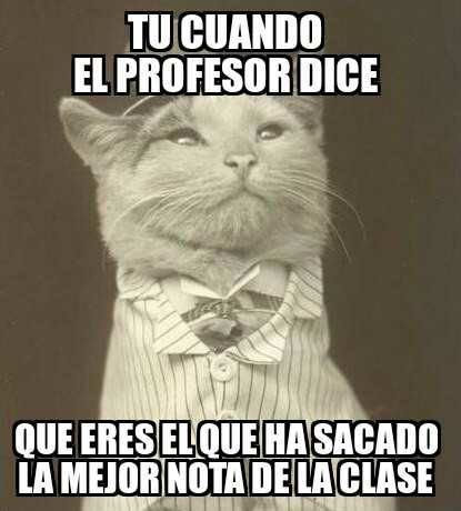 Eres La Mejor Memes REACCIONO A MIS MEJORES MEMES 🤣 YouTube