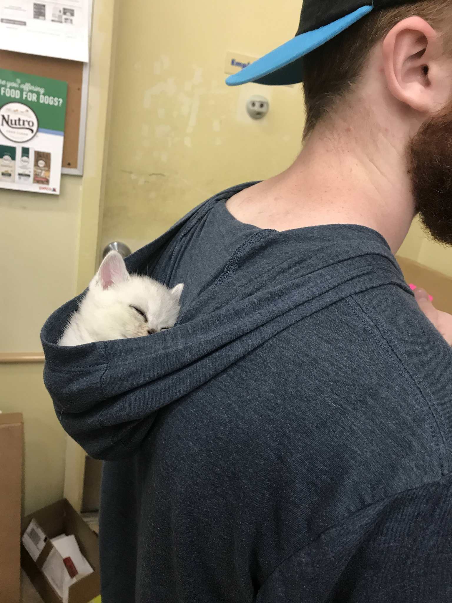 I love to sleep - Meme subido por Peebee :) Memedroid