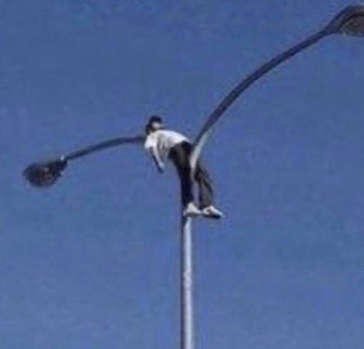 Pole Street Memes Photo Posted By Wholesome Memes 🐶 (@wholememe)