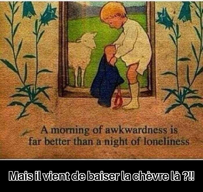 Awkwardness = maladresse ; loneliness = solitude - Meme by SuitSzer ...