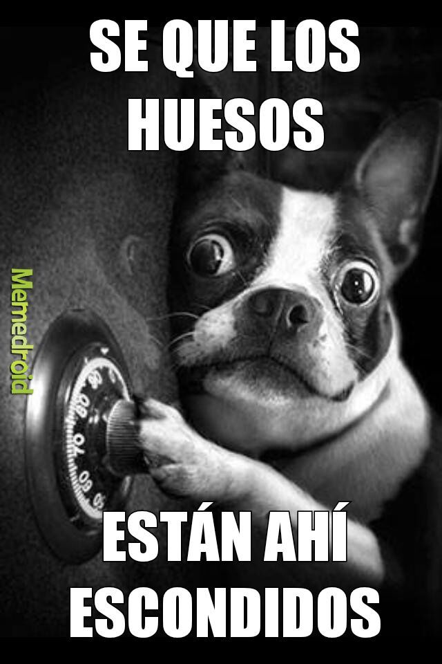 Perro listo - Meme subido por Irisandina :) Memedroid