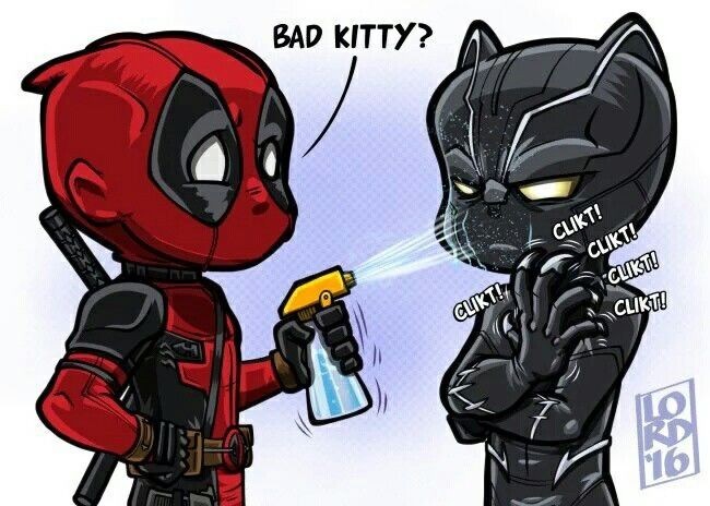 Méchant chat ! - Meme by XxALEX56xX :) Memedroid