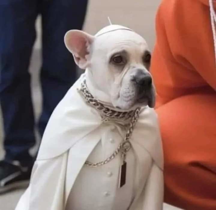 Nesse eu boto fé - Meme by Theolima2 :) Memedroid