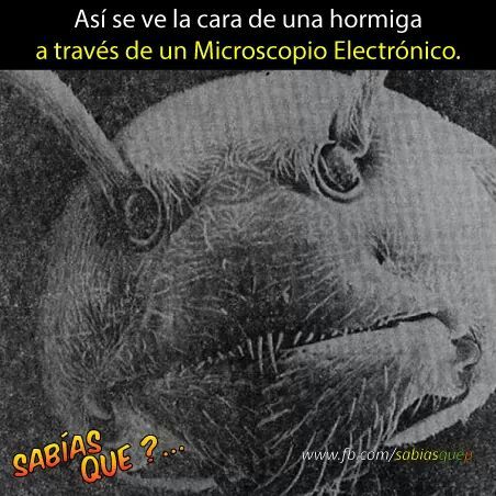 Daamn - Meme subido por nitaecerna :) Memedroid