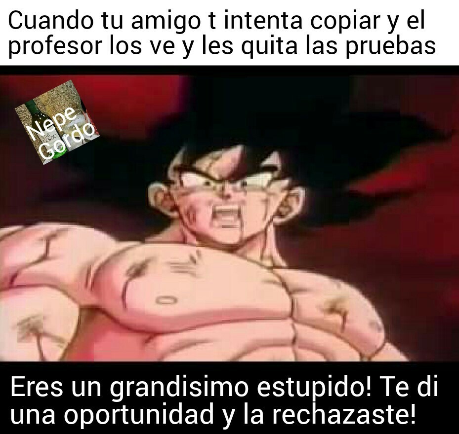 Eres Un Estupido Memes 16 Memes Tan Tontos Que No Te Queda Otra Que