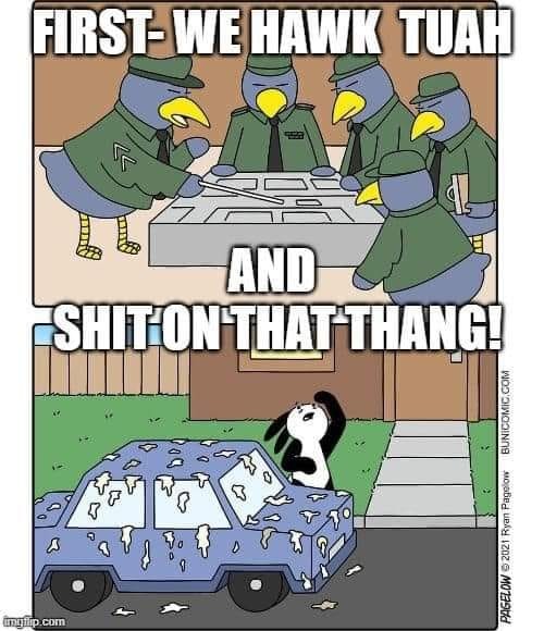 The Latest Memes :) Memedroid