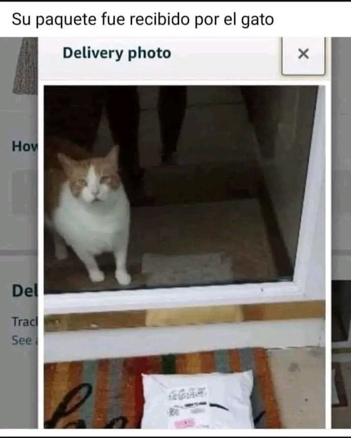 Top memes de Paquetes en español :) Memedroid