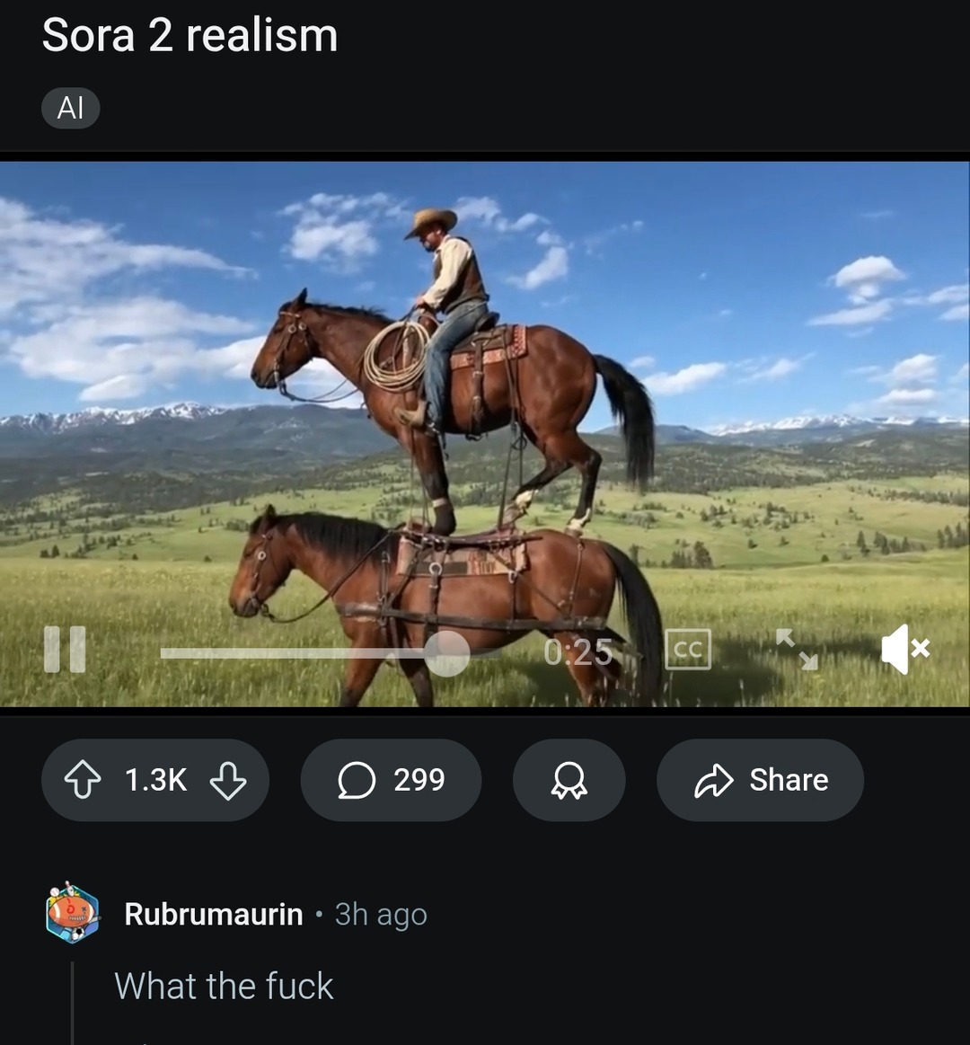 The best Sora memes :) Memedroid