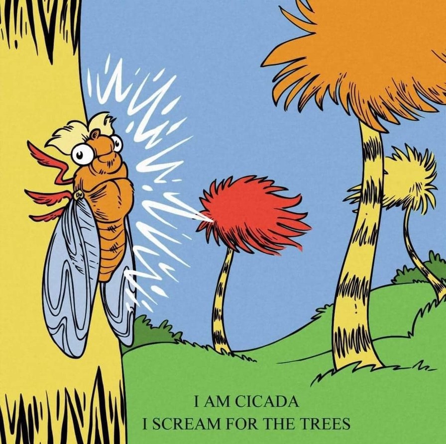 Latest memes :) Memedroid