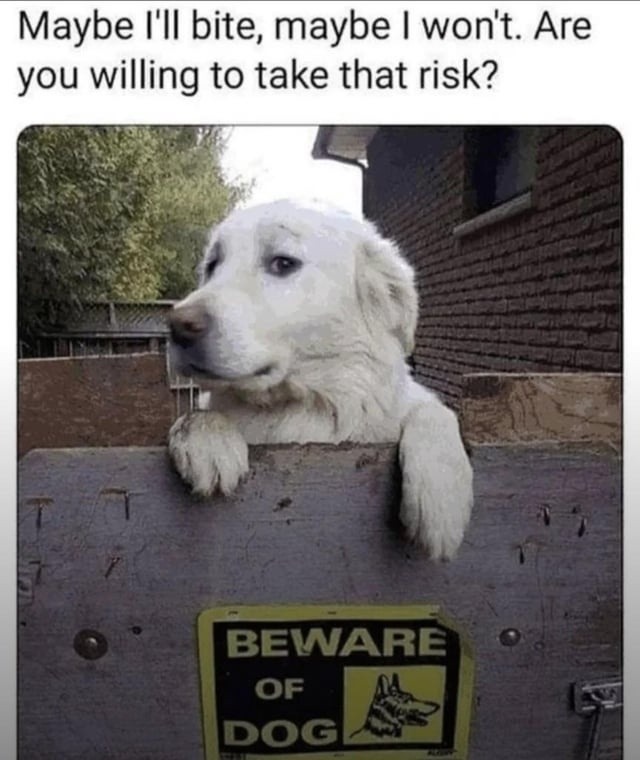 The best Risk Taker memes :) Memedroid