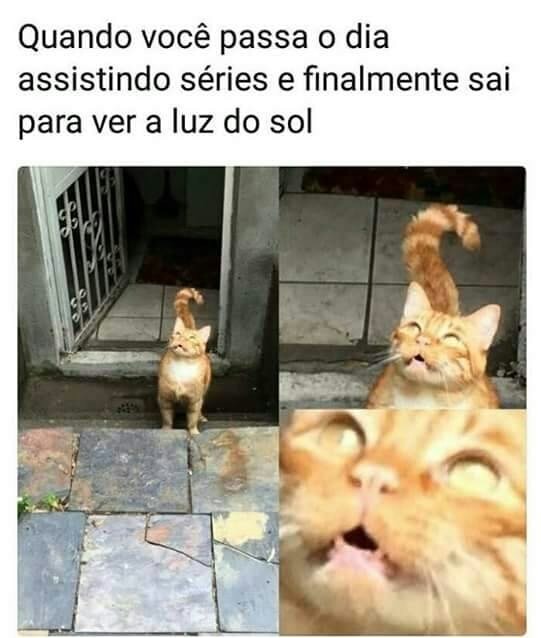 Alguém maid se identifica? - Meme by JoSjoca :) Memedroid