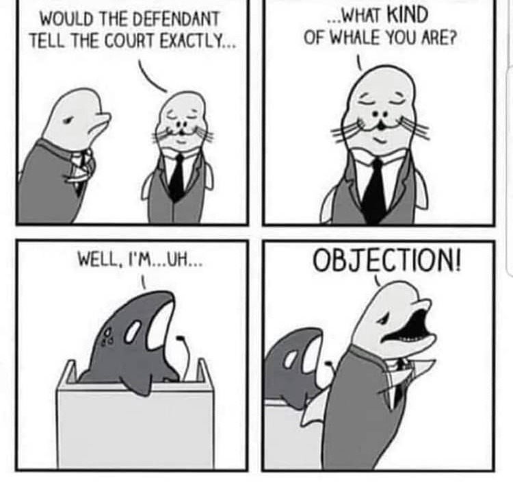 killer whale - Meme by KibblesAndBitches :) Memedroid