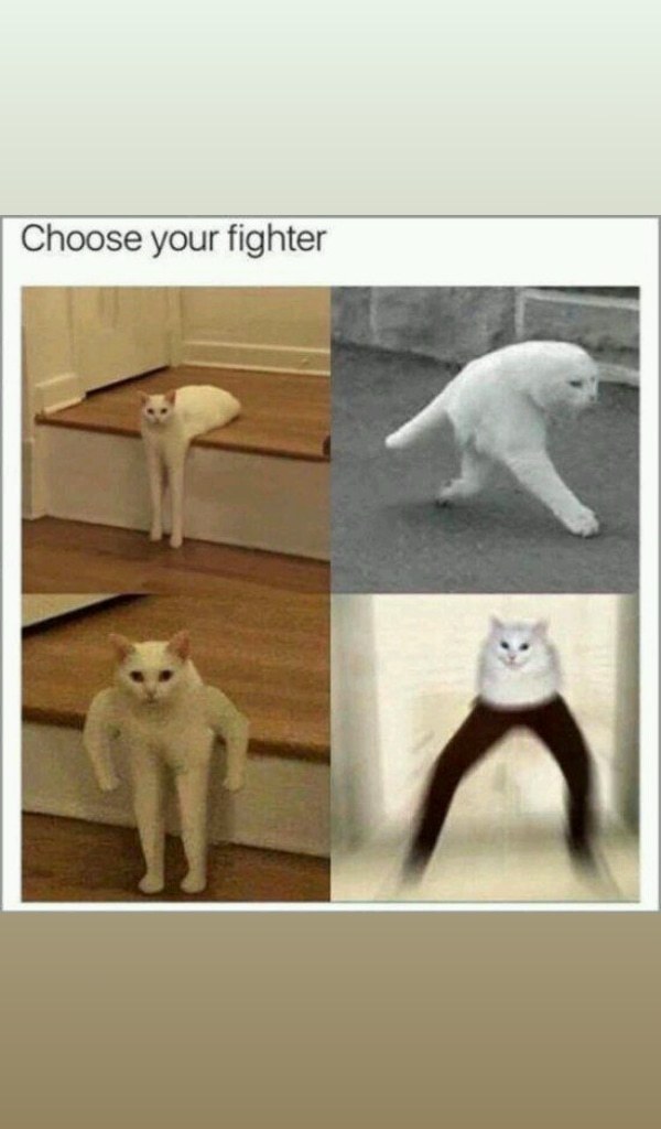 Elige - Meme subido por Jefe_Maestro3 :) Memedroid