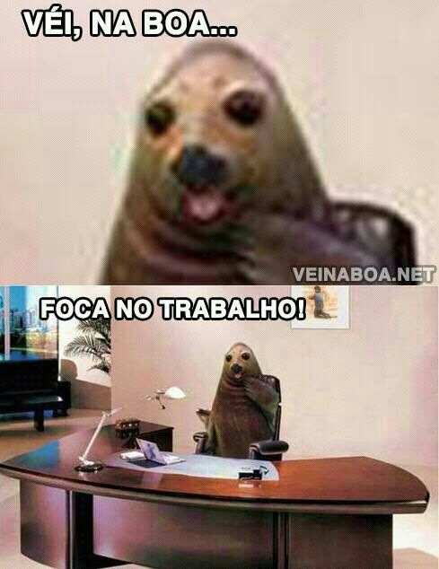 Foca - Meme by SilvaNelson :) Memedroid