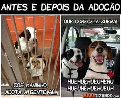 eeeww huehuehue zueraaaa - Meme subido por dogeedubr :) Memedroid