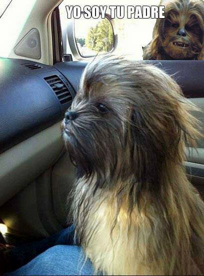 Chubaca :) - Meme subido por underhider :) Memedroid