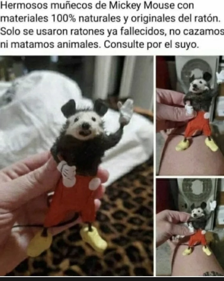 Top memes de Ratones en español :) Memedroid