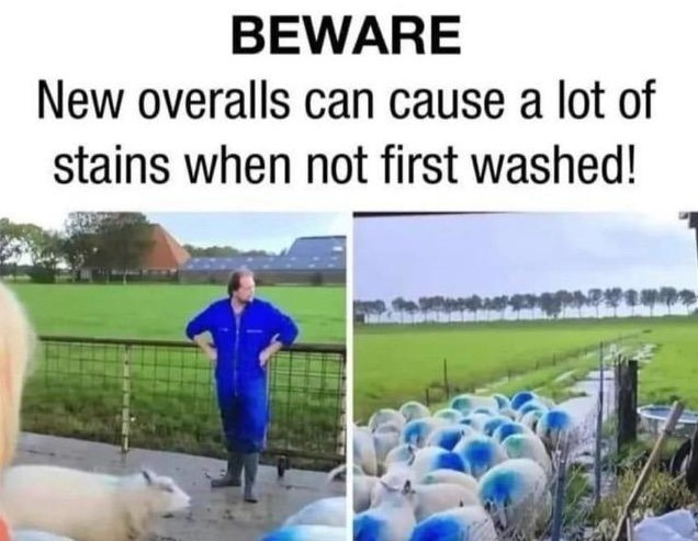 Latest memes :) Memedroid