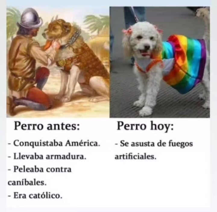 The best Kb_a_kb memes :) Memedroid