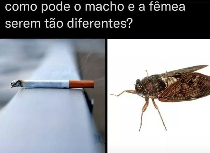 Oloko - Meme by Bahmod :) Memedroid