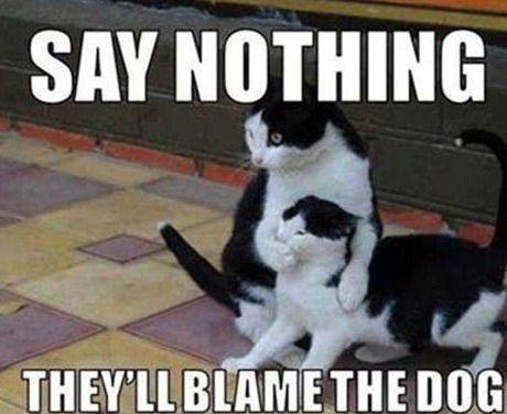 HUSH JIMMY!!!! - Meme by STUMPYBEANS010 :) Memedroid