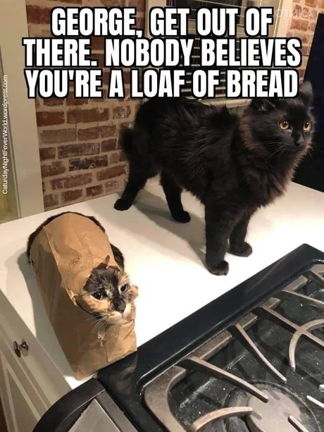 Latest memes / New memes :) Memedroid