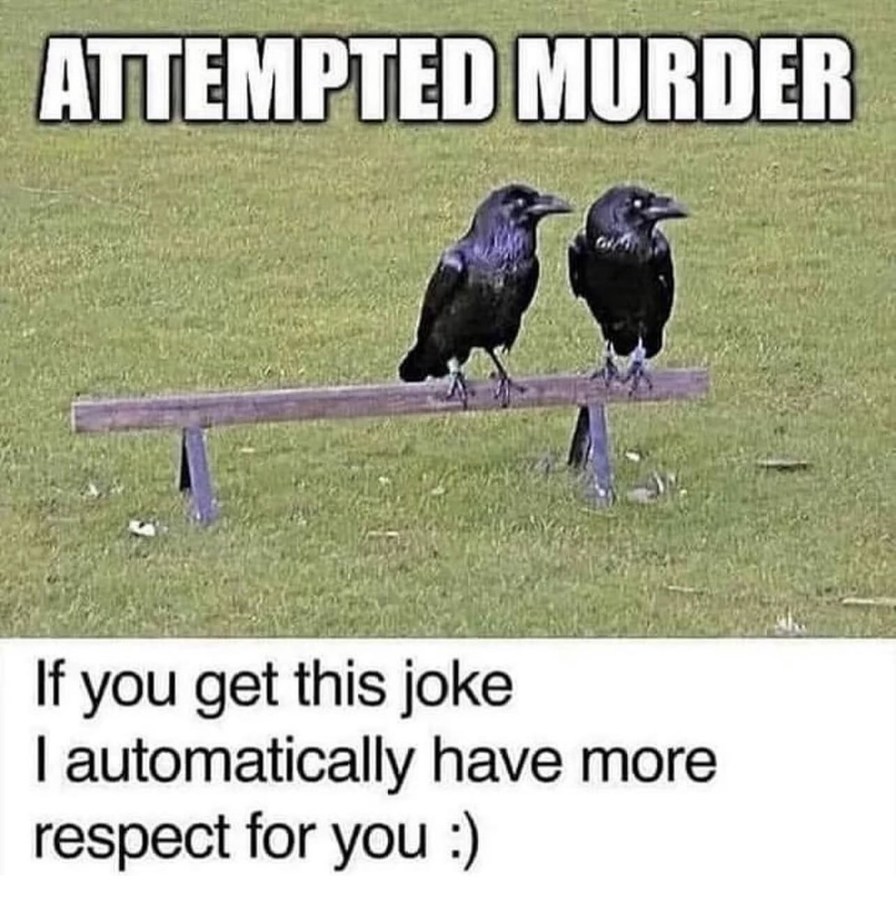 The best Murder memes :) Memedroid
