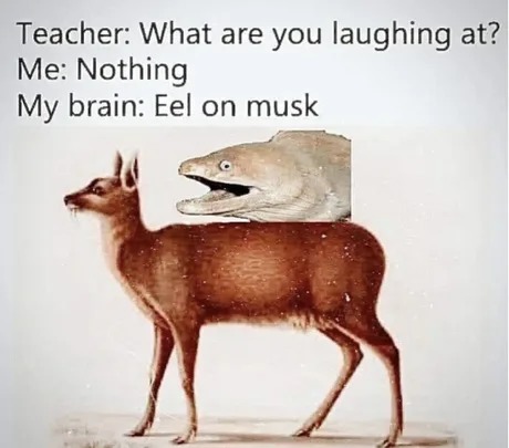 What are you laughing at? - Meme by tyehoax :) Memedroid