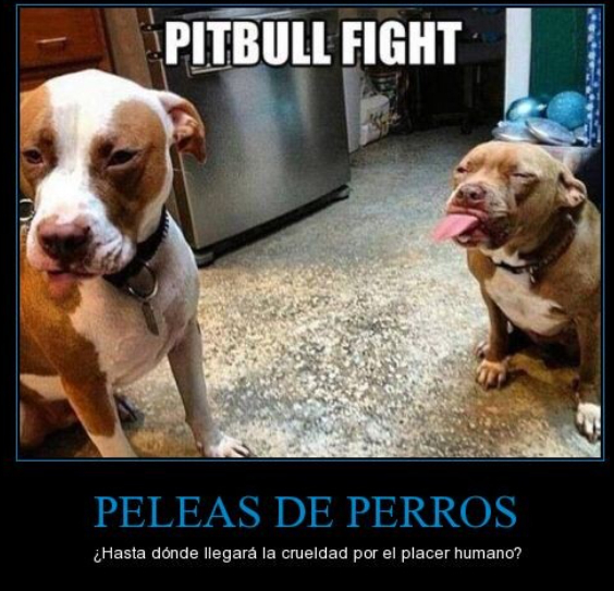 Loa - Meme subido por angel espinosa :) Memedroid