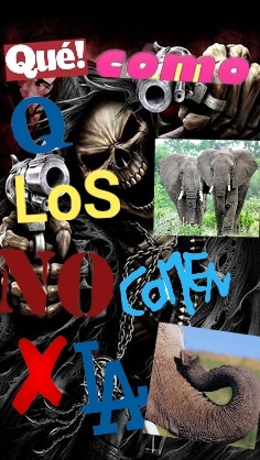 Pero como? - Meme subido por NachitoTG :) Memedroid