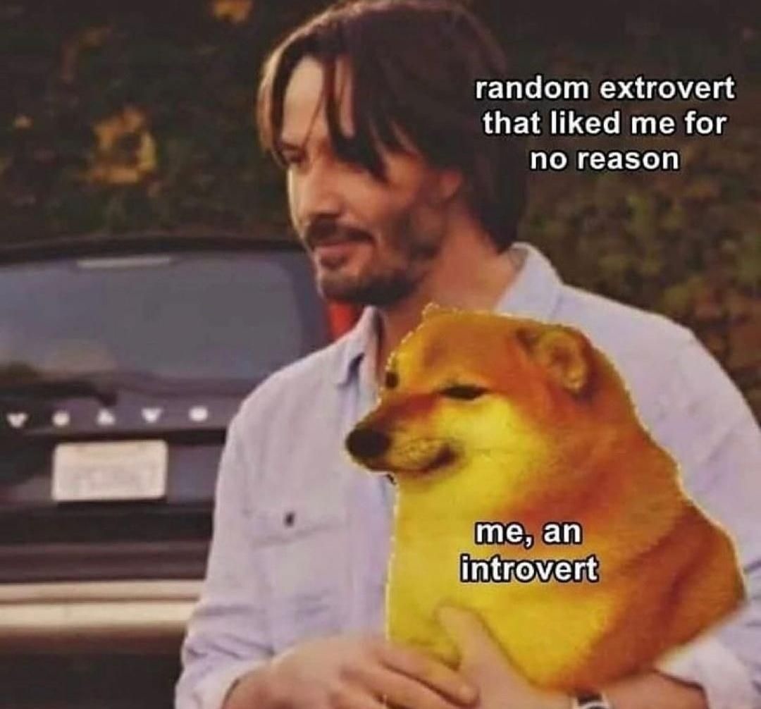 The Latest Memes :) Memedroid