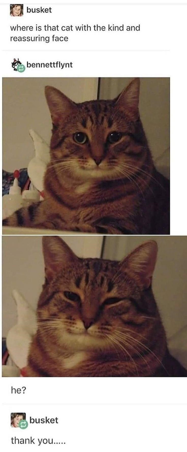 The Latest Memes :) Memedroid