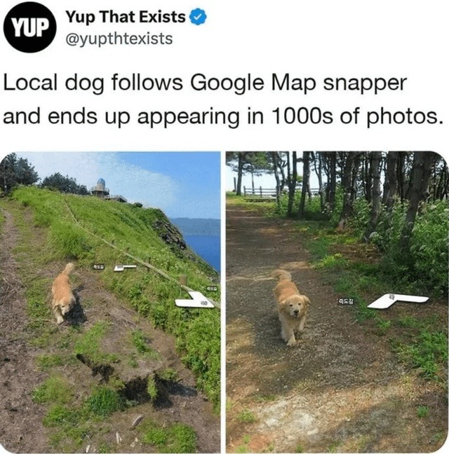 Memes Google Map