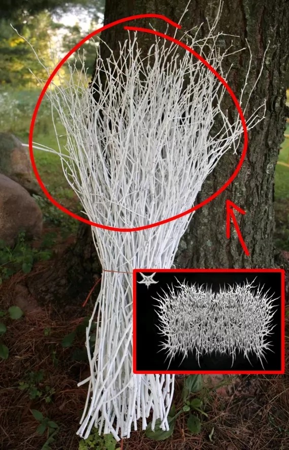 Top memes de Música en español :) Memedroid