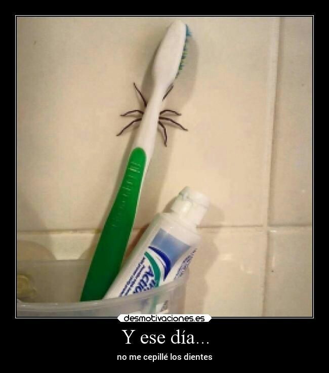 Nunca - Meme subido por Fer268 :) Memedroid