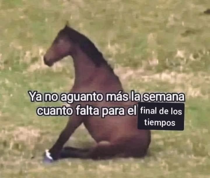 Top memes de Estres en español :) Memedroid