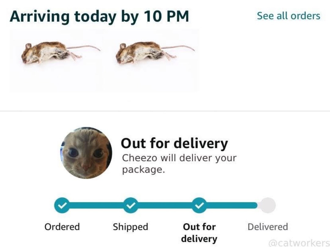 Memes De Delivery