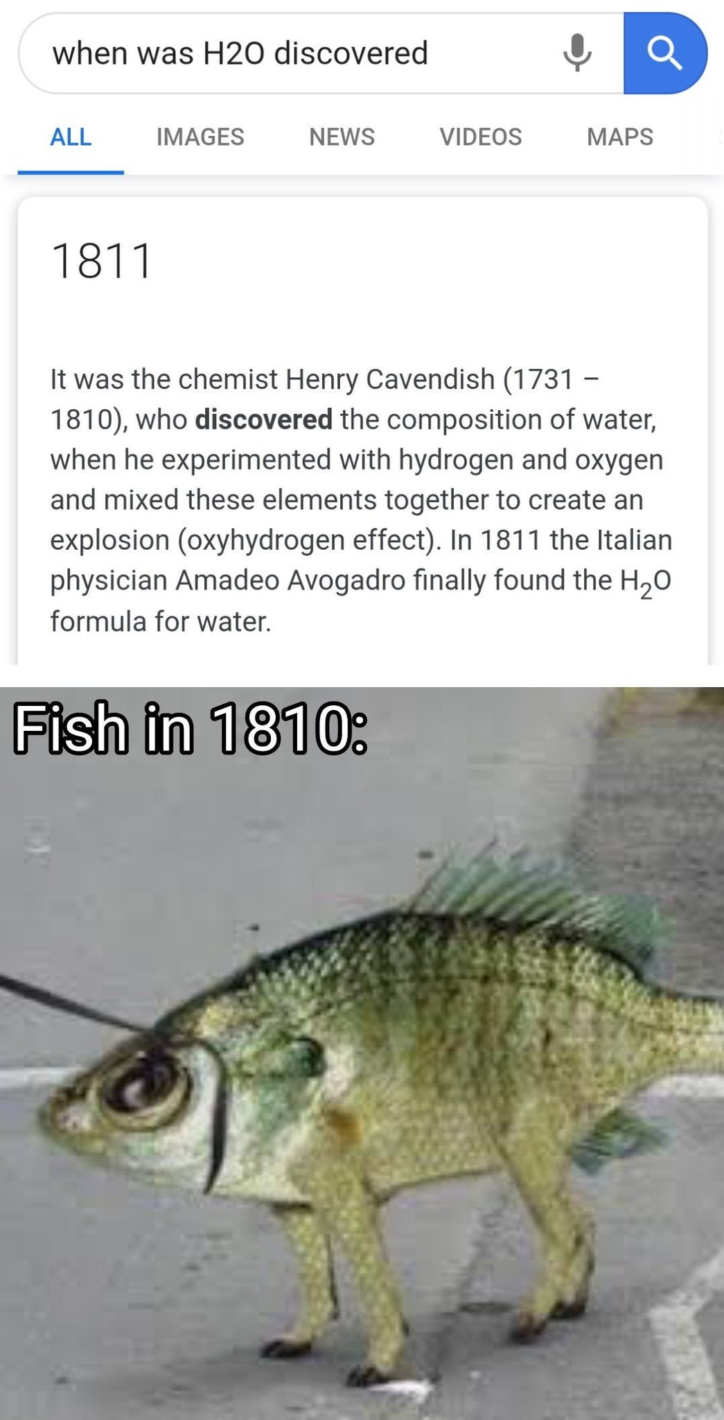 Latest memes :) Memedroid