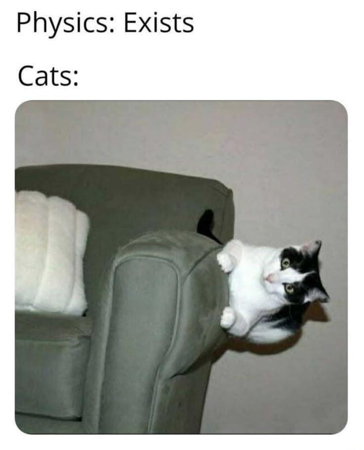 The best Gravity memes :) Memedroid