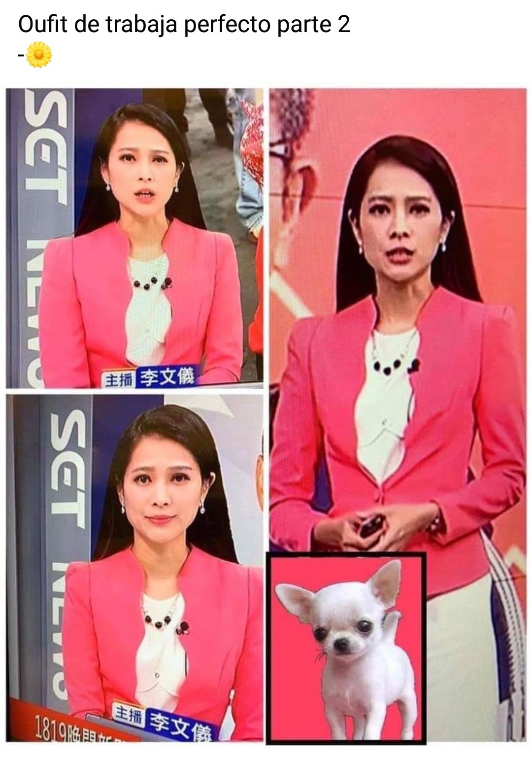 Perrin reportero - Meme subido por wolschaldo :) Memedroid