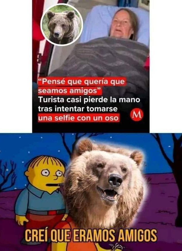 Top memes de Osos en español :) Memedroid