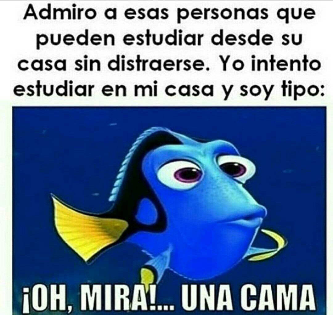 Anda una mosca - Meme subido por Nosoyandrei :) Memedroid