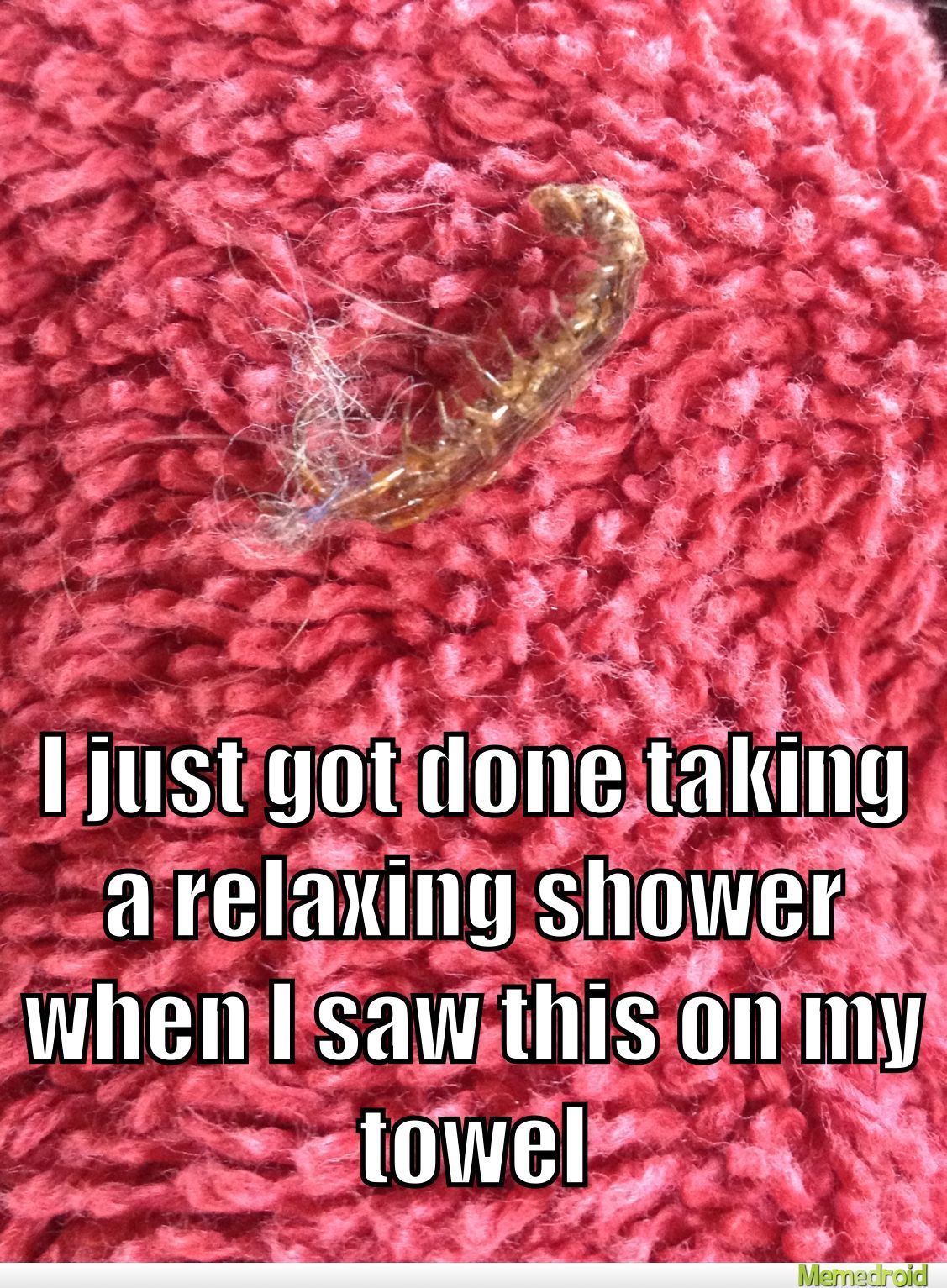 Nope - Meme by crush531 :) Memedroid