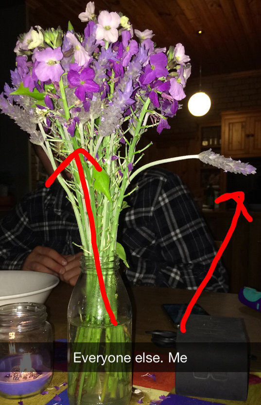 Me at everything - Meme by mushimushi :) Memedroid