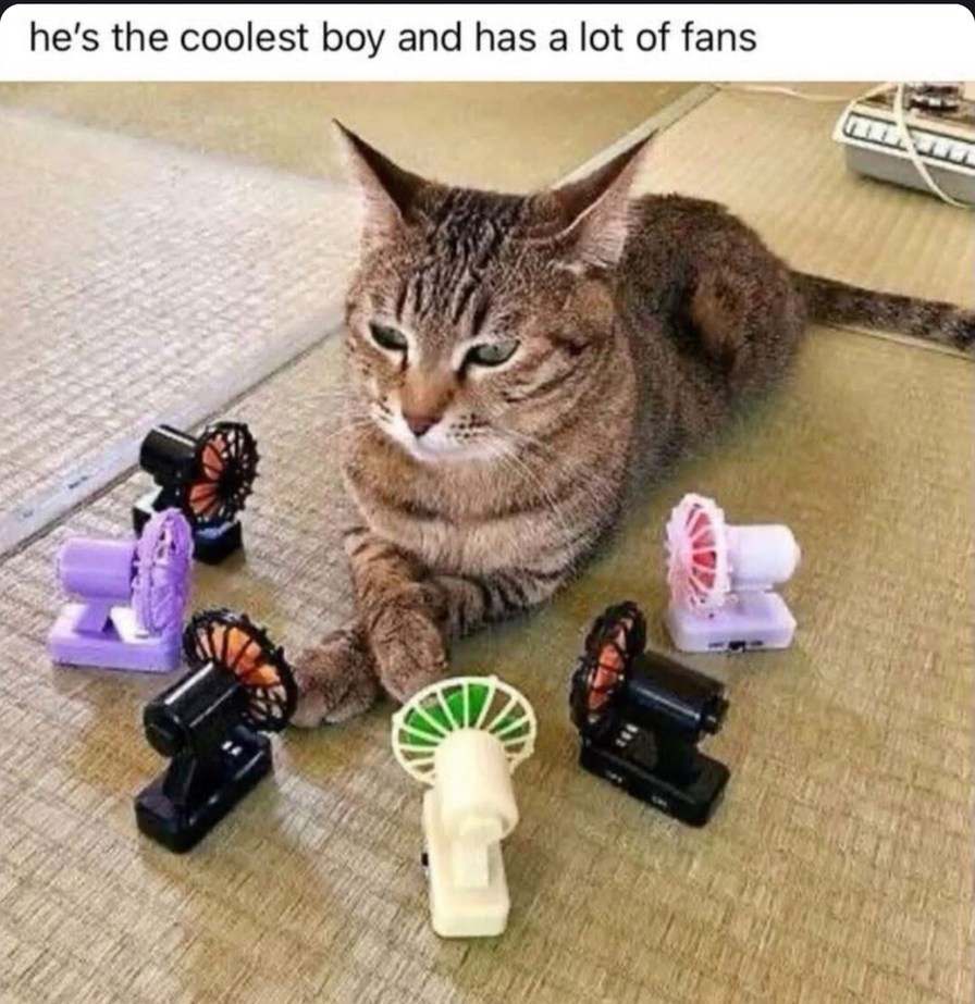 The best Fan memes :) Memedroid