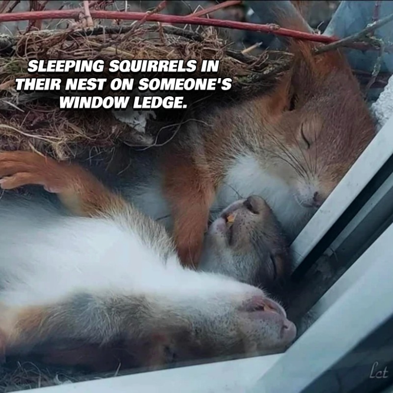 These are actually happy guys - Meme by schizoidman :) Memedroid