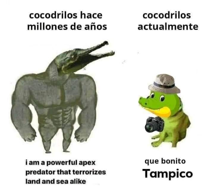 Los Últimos Memes :) Memedroid