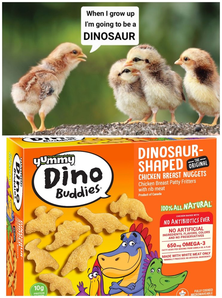 The best dinosaur memes