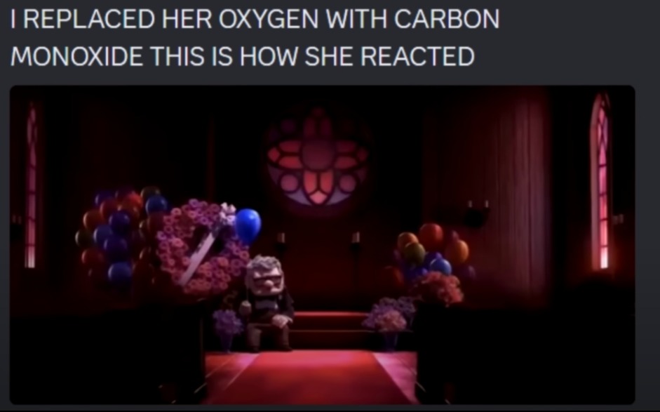 Remplace su oxígeno por monóxido de carbono y así reaccionó - Meme ...