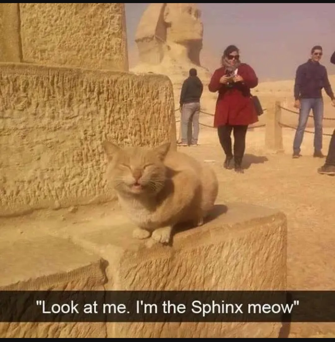 The Latest Memes :) Memedroid